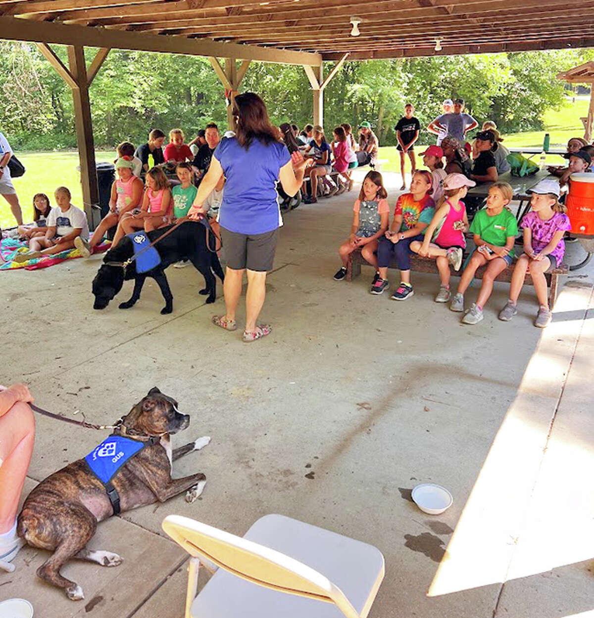 Helping Girl Scouts priority for Collinsville's Ronnie Winterich