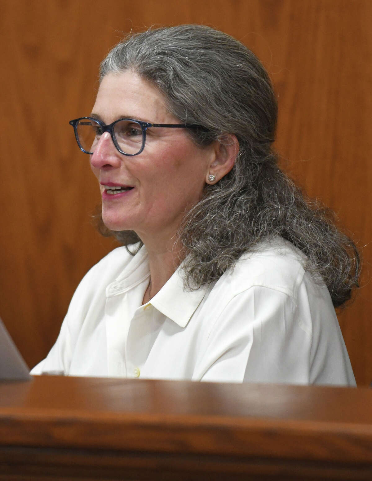 Grreenwich legislators brainstorm fixes for energy costs