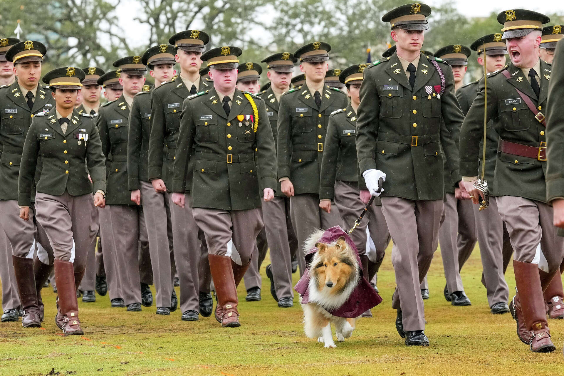 Texas A&M mascot Reveille X has right eye removed during surgery