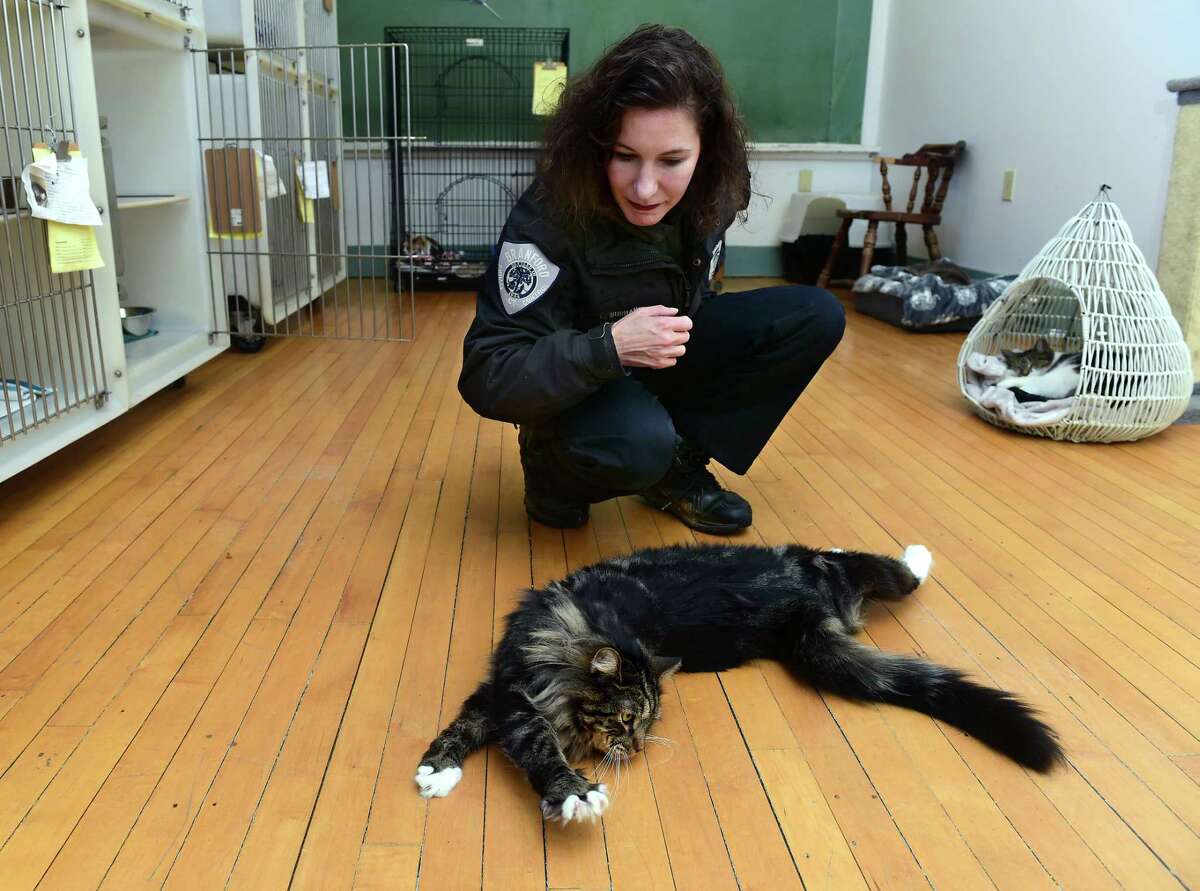 Branford's Dan Cosgrove Animal Shelter to get new electric vehicle