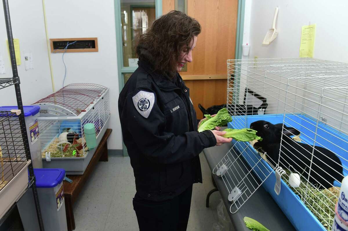 Branford's Dan Cosgrove Animal Shelter to get new electric vehicle