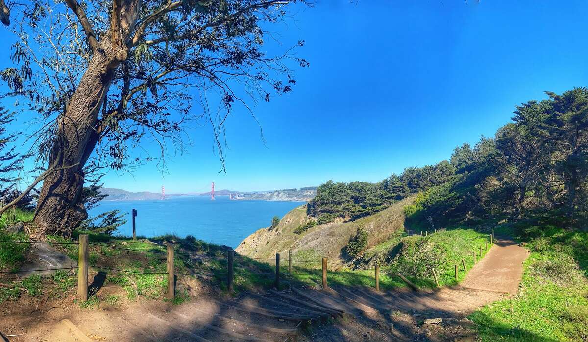 The 8 best running trails in San Francisco with scenic views