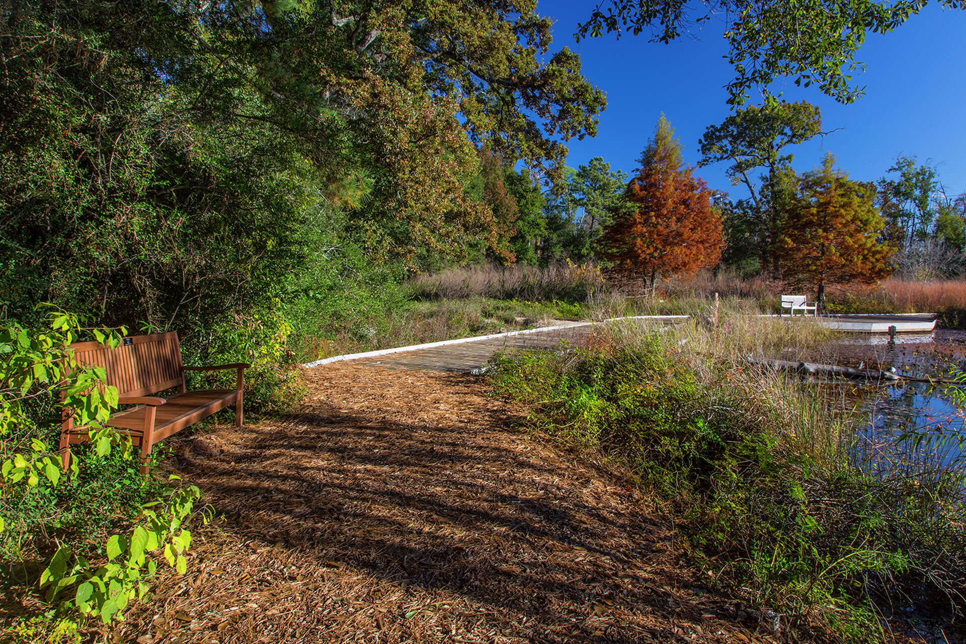 Houston-area parks offer walking trails, wildlife viewing, nature