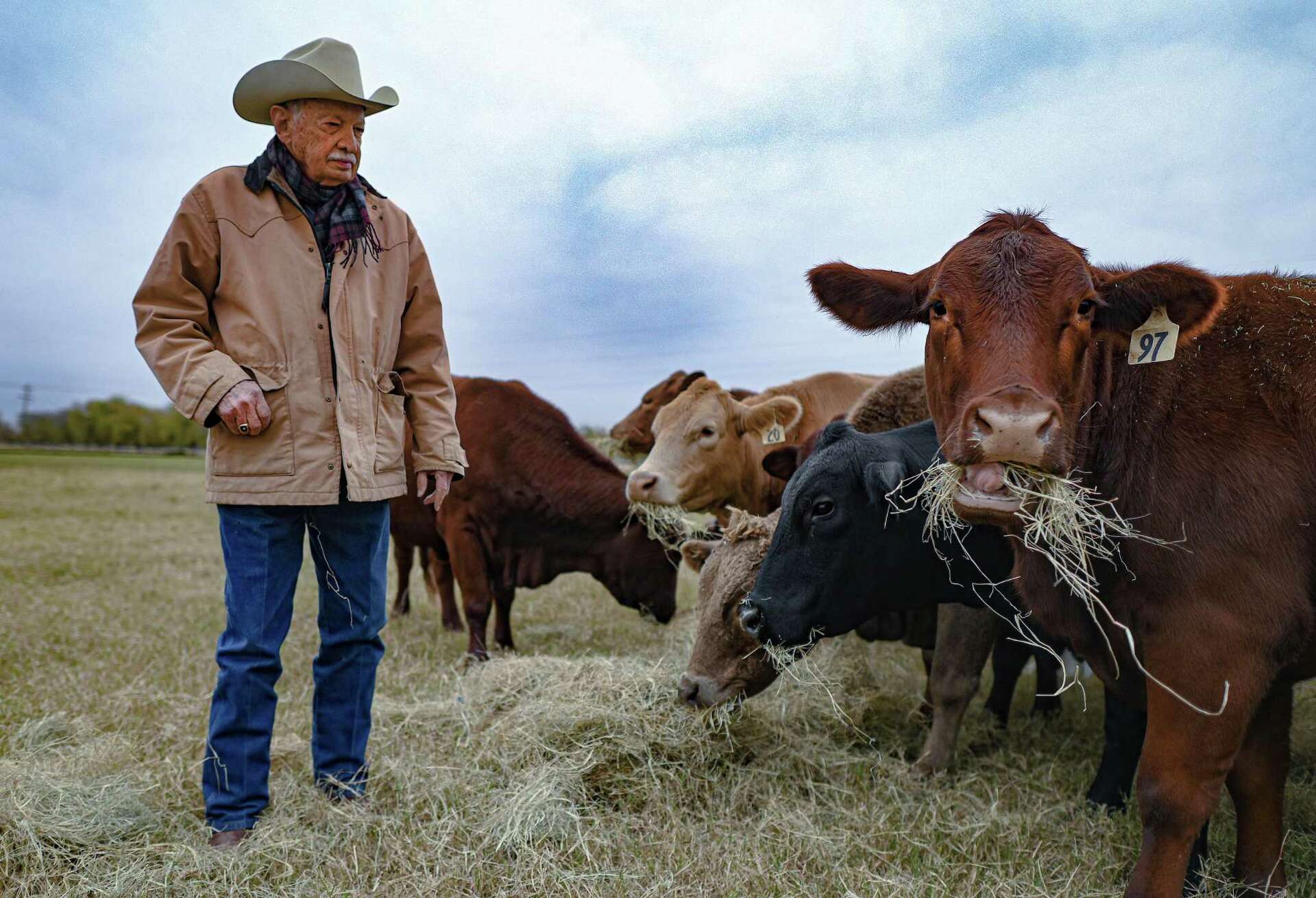 In Texas drought, hay shortage hits San Antonio-area ranchers