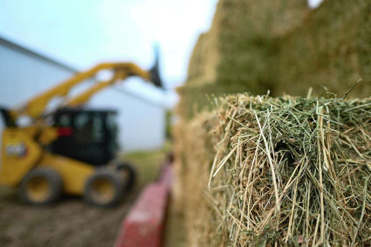 In Texas drought, hay shortage hits San Antonio-area ranchers