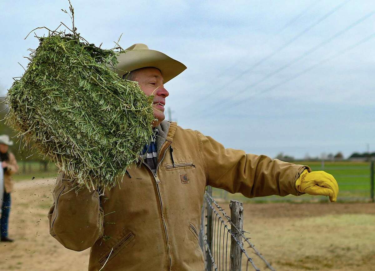 In Texas drought, hay shortage hits San Antonio-area ranchers