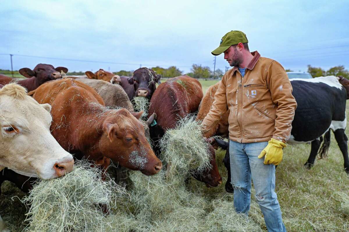 In Texas drought, hay shortage hits San Antonio-area ranchers