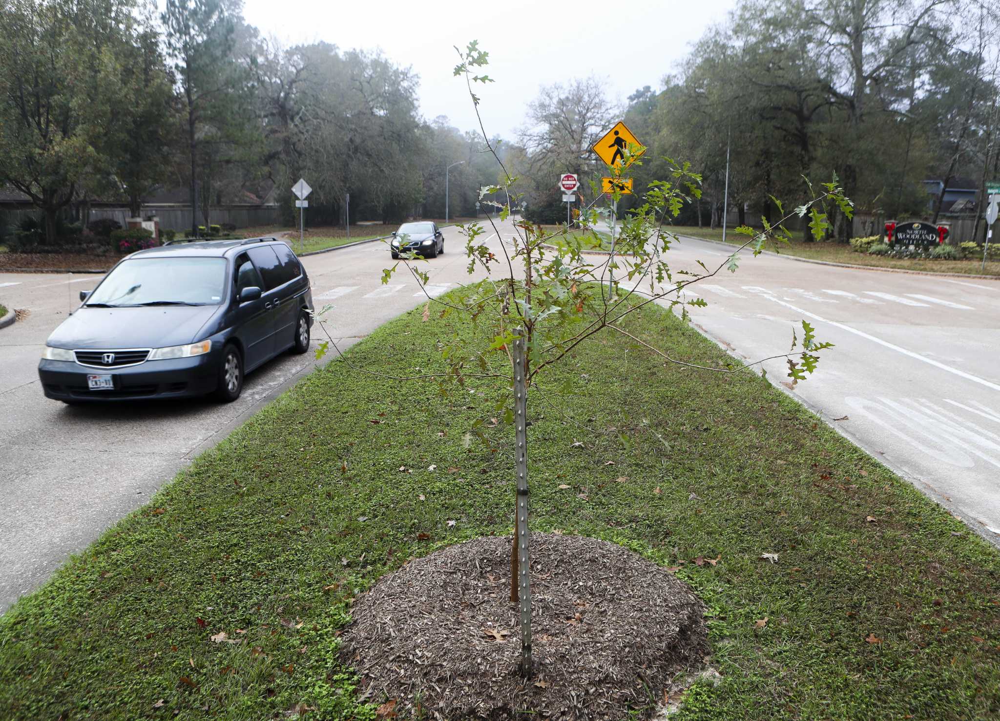 Kingwood's Livable Forest gets makeover after 50 years