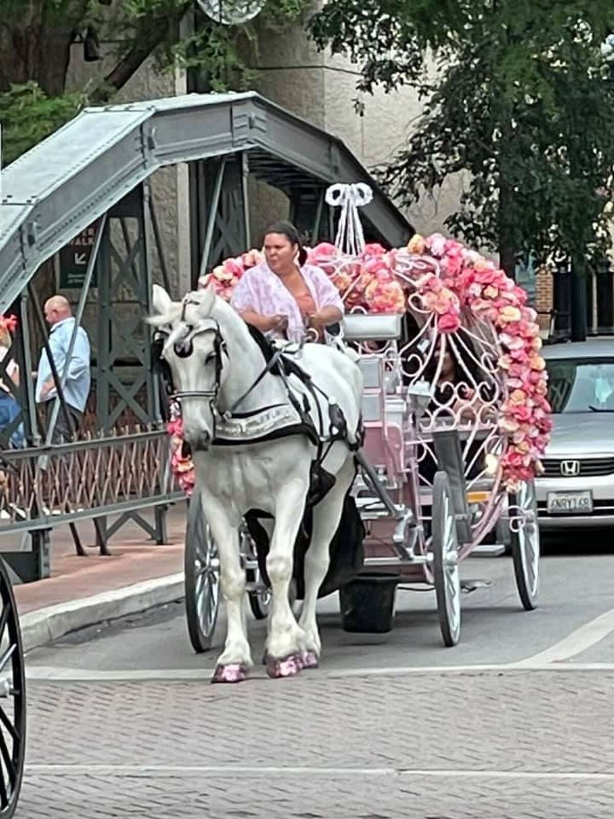 Commentary: S.A. carriage ride owners treat horses with respect