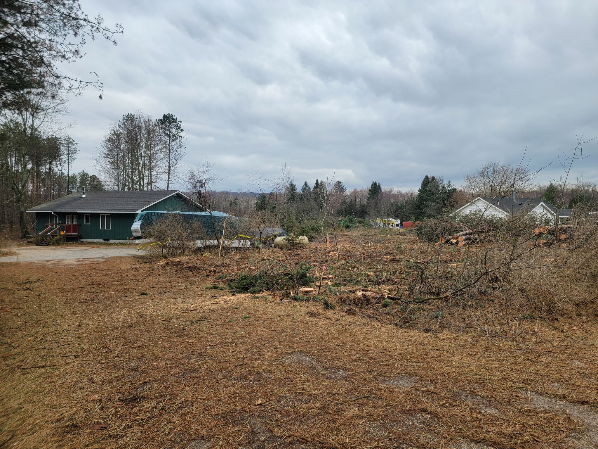 Tree removal begins near Frankfort airport