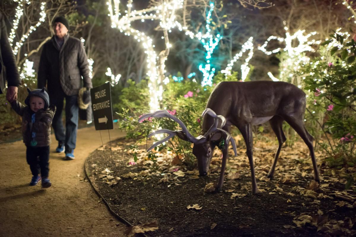 Examiner-area calendar of events