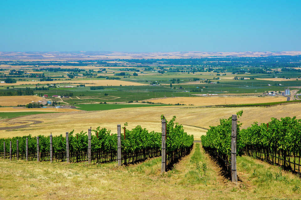Walla Walla wineries to visit in Washington wine country
