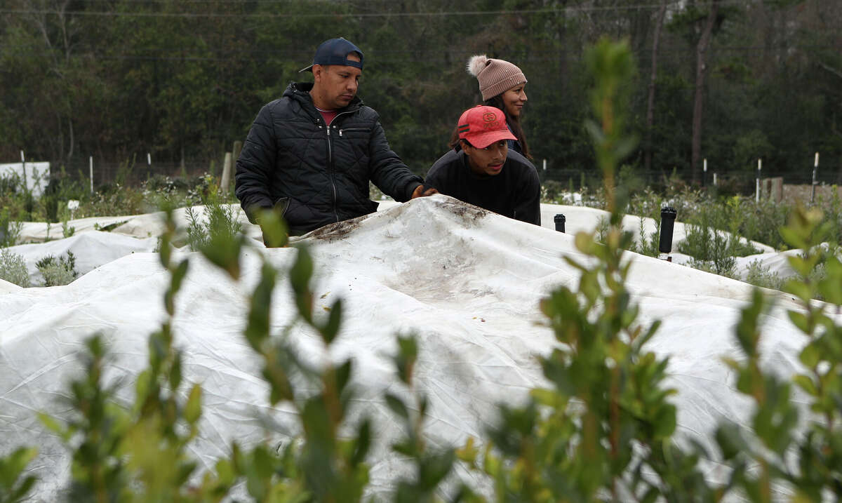 City of Conroe facilities close; 3 warming centers open as arctic front ...