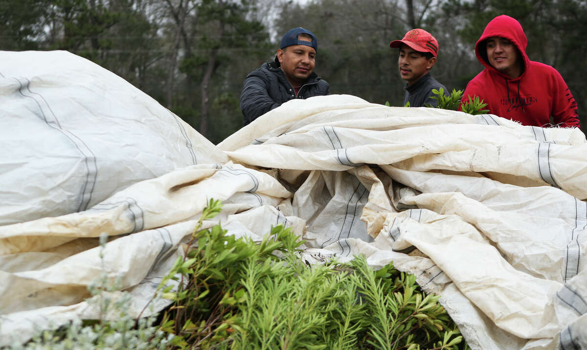 City of Conroe facilities close; 3 warming centers open as arctic front ...