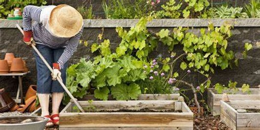 Want to be a Master Gardener?