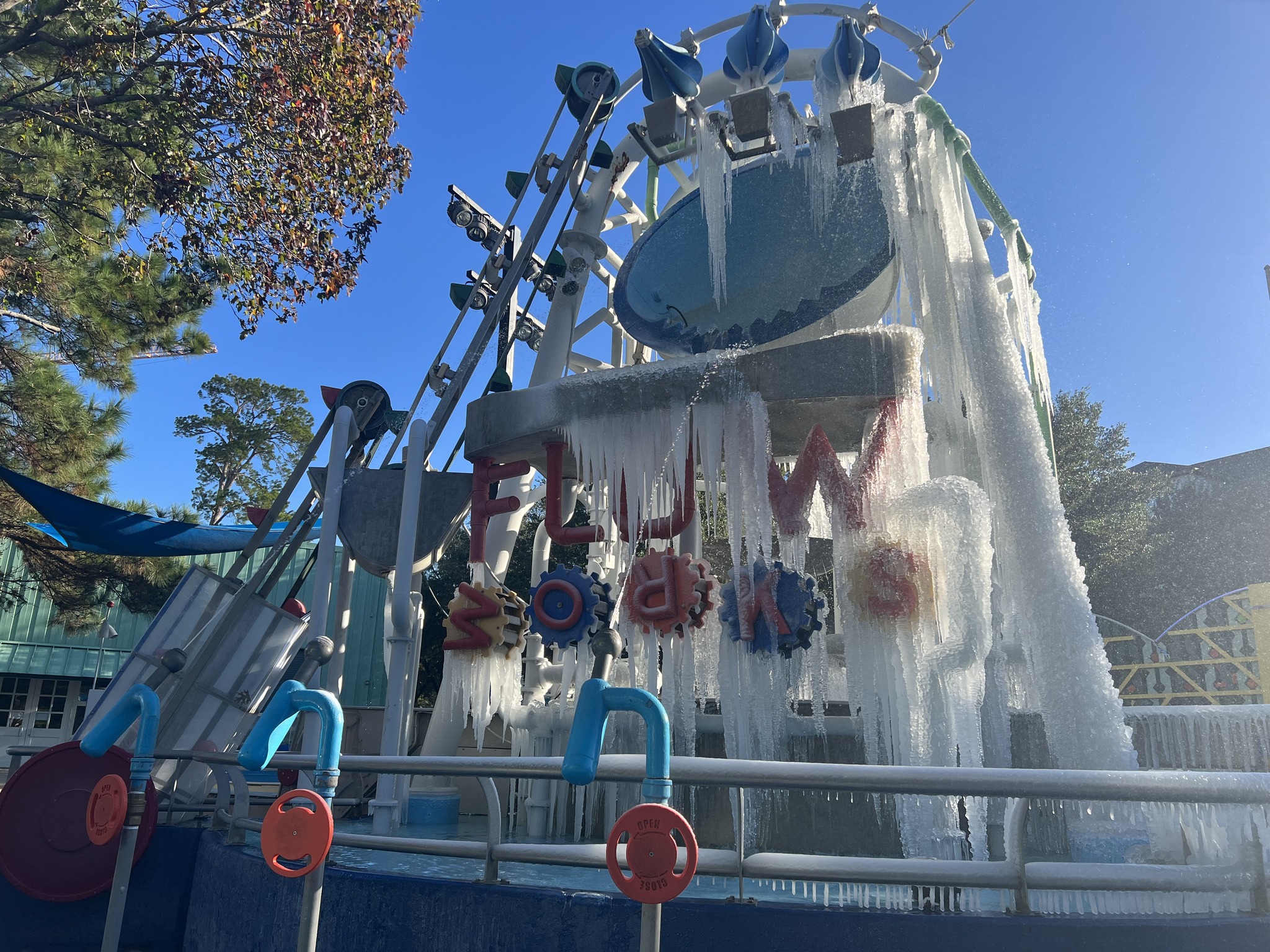 Photos show what a hard freeze looks like in H-Town