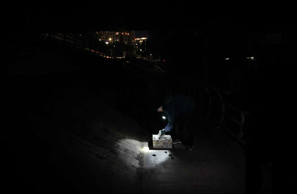 Houston's (now unfrozen) Waugh Bridge bats released back into the wild