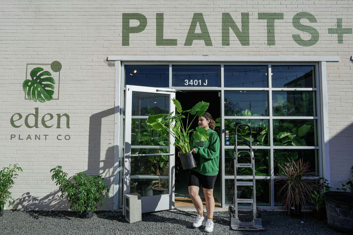 Houston weather update: Temperatures to rapidly rise this week