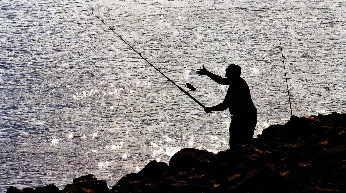 This Year In Pictures