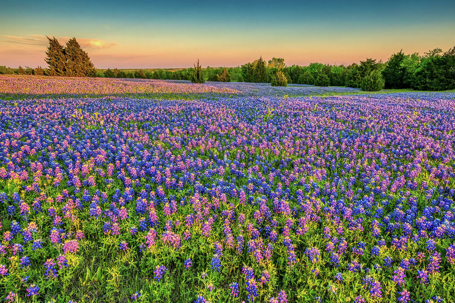 Visit these 3 Texas Hill Country spots for Spring Break 2024