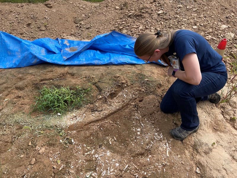 Mammoth or mastodon: Stone Age tusk discovered at Principia College