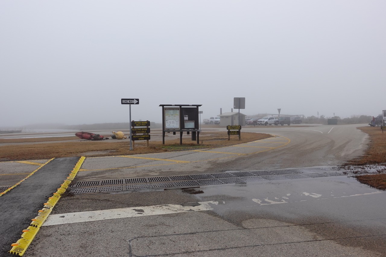 Texas State Parks' First Day Hikes bring together naturalists, visitors ...