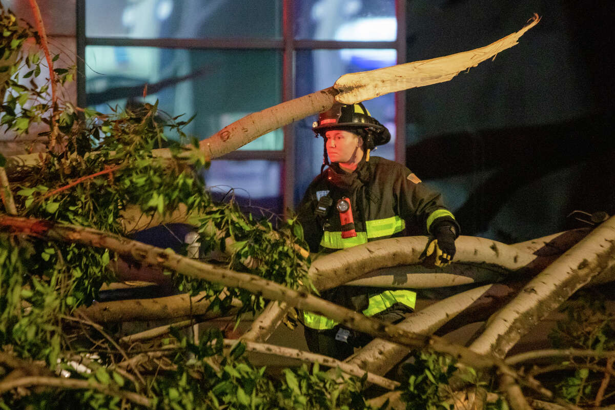 Trees fall across SF Bay Area in California storm