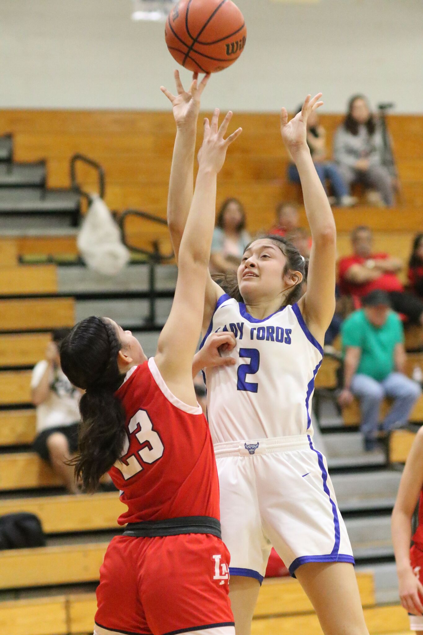 Lady Toros take down Lady Tigers