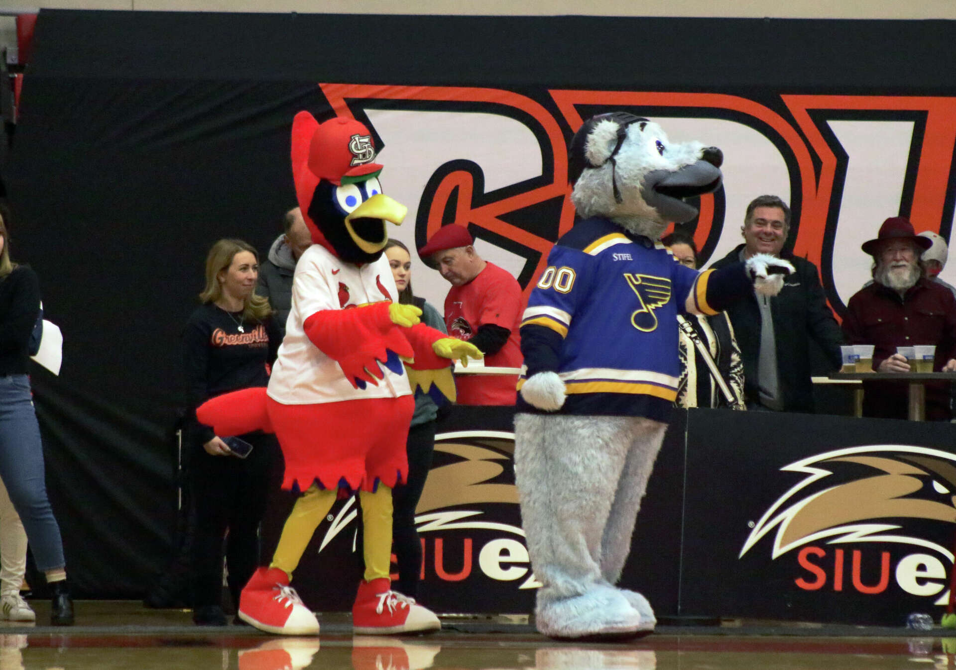 Holding court: SIUE win celebrates mascot's birthday
