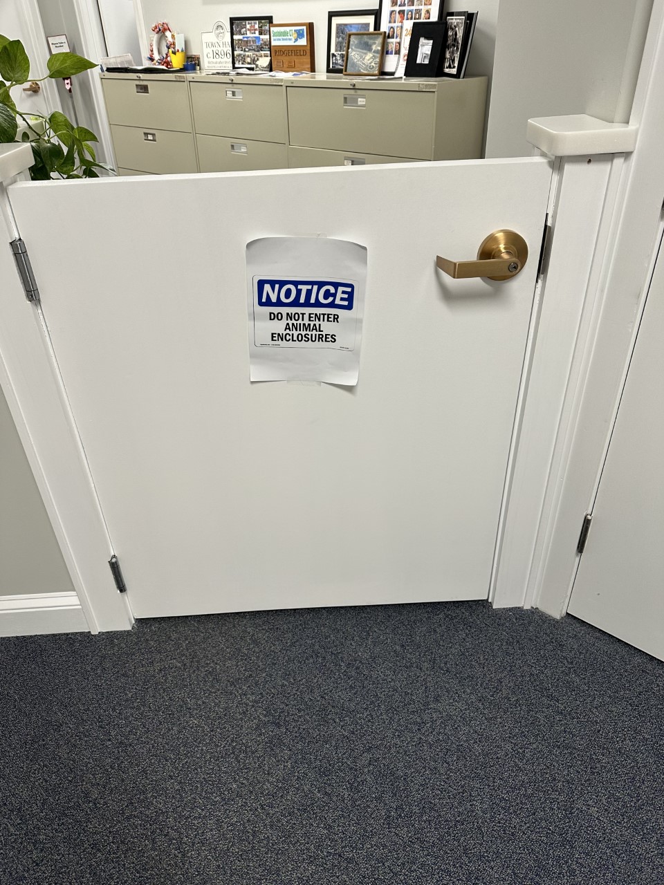 Ridgefield CT first selectman to YouTubers: 'get the hell out'