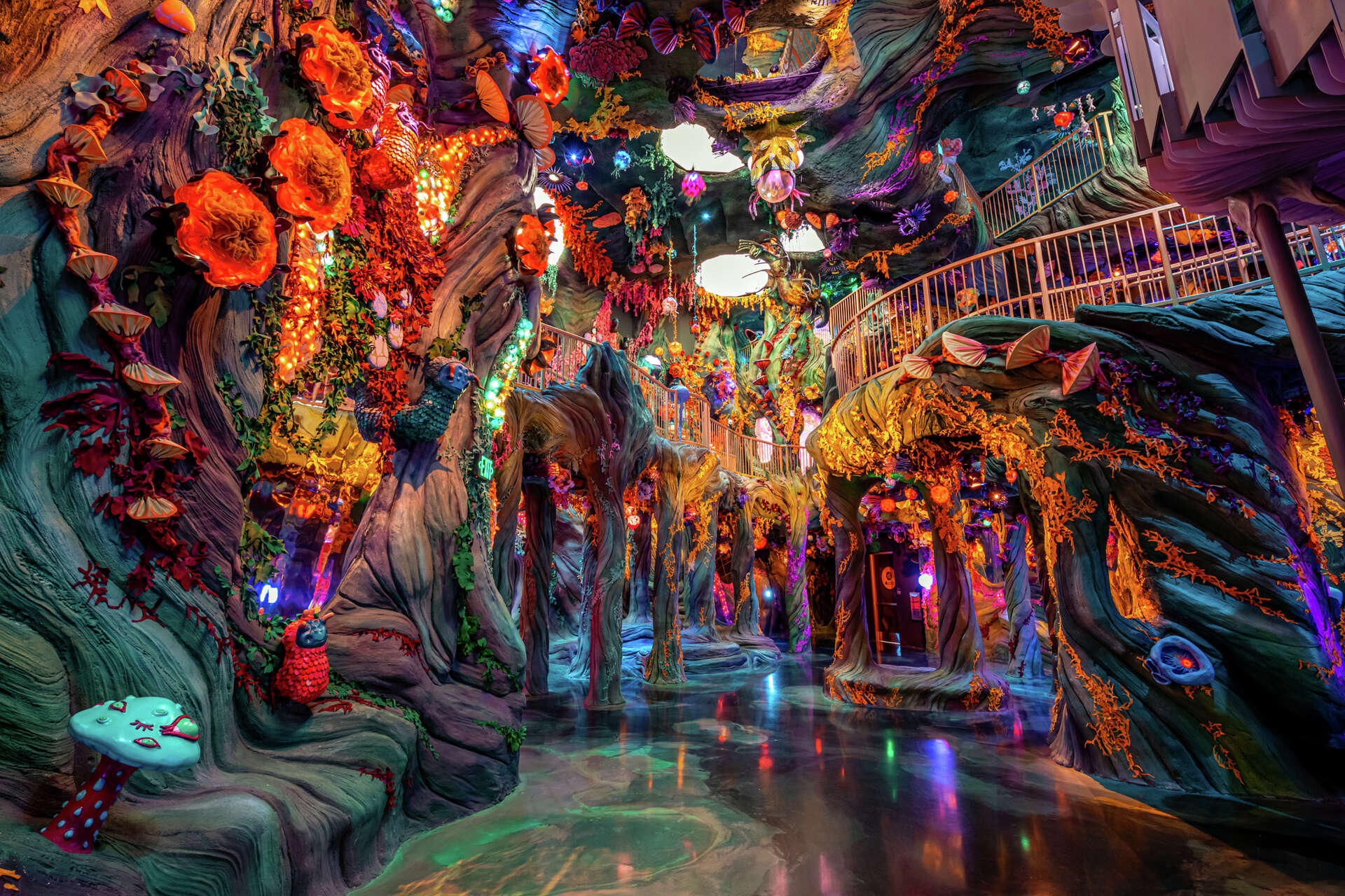 10 absolute best Denver museums to visit right now