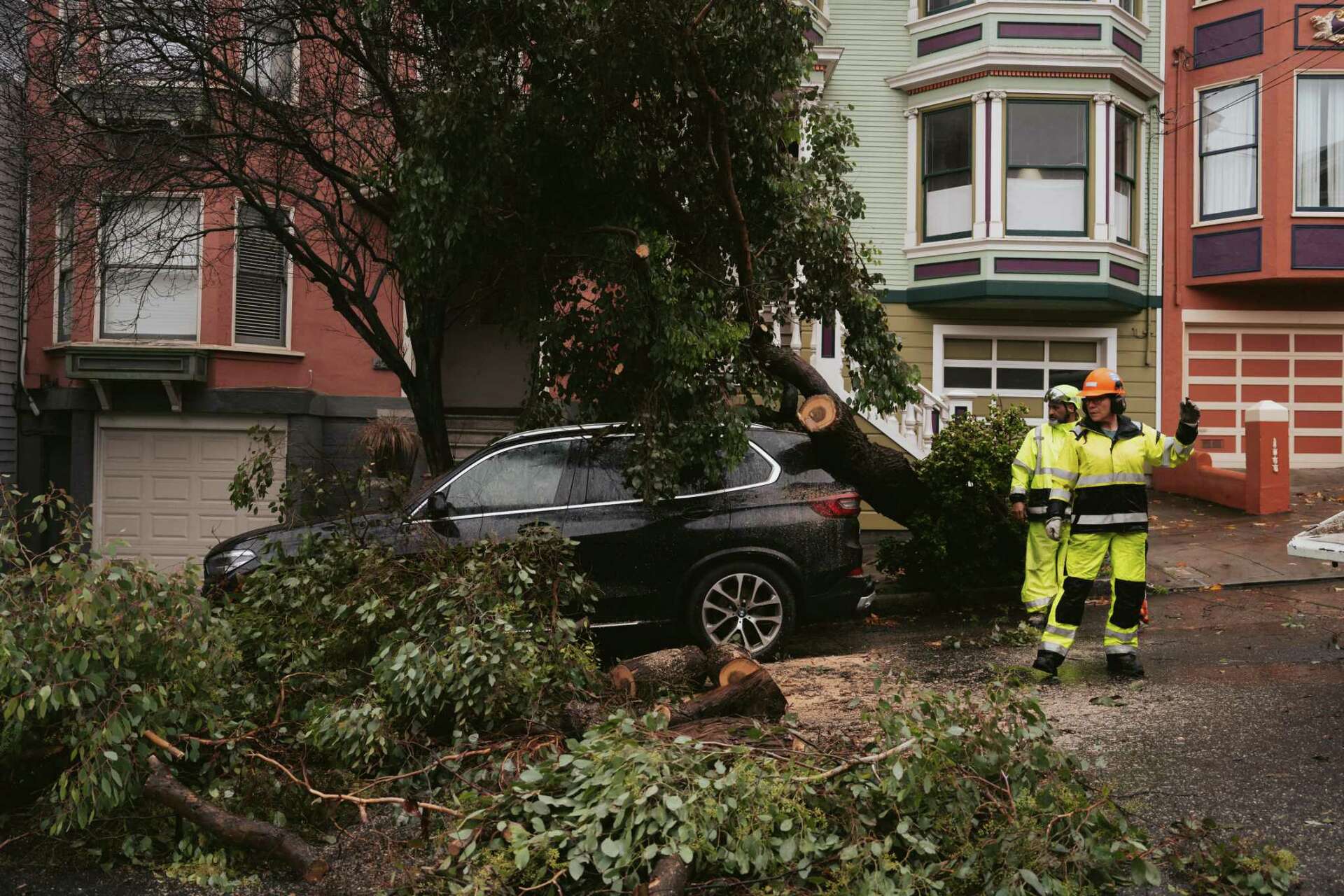 Map shows where the storms knocked down trees in San Francisco