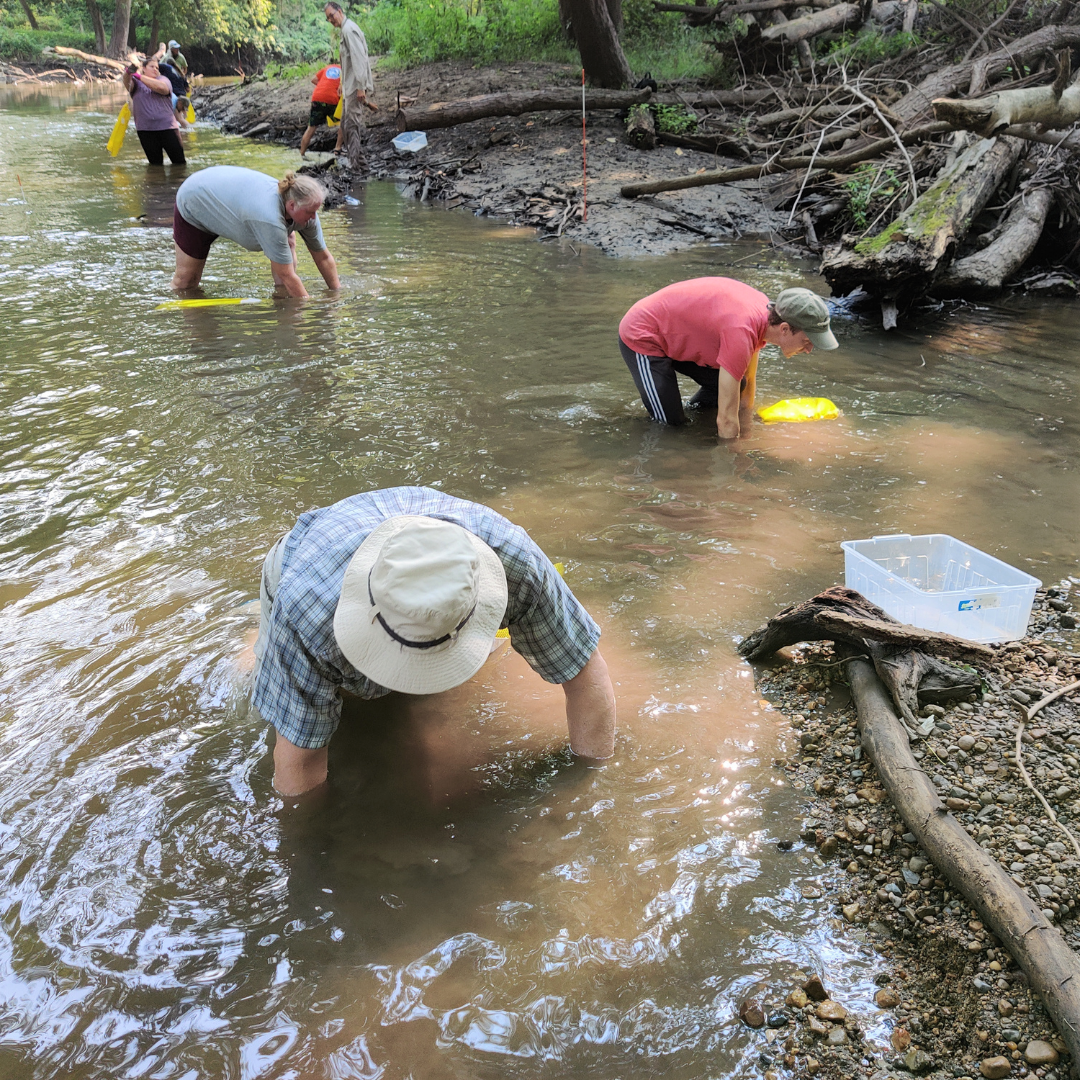 Mussels flex in new doc premiering Jan. 17 presented by Illinois RiverWatch