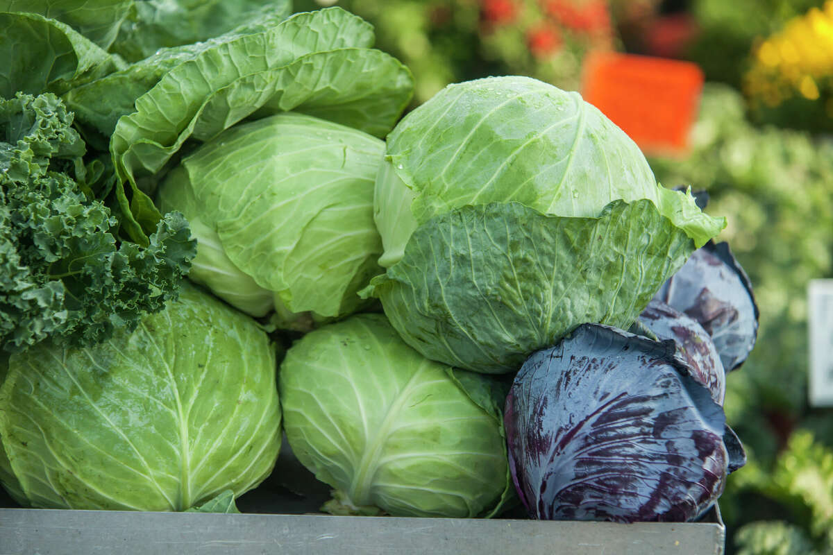 Houston 4th grader grows huge cabbage, wins national award