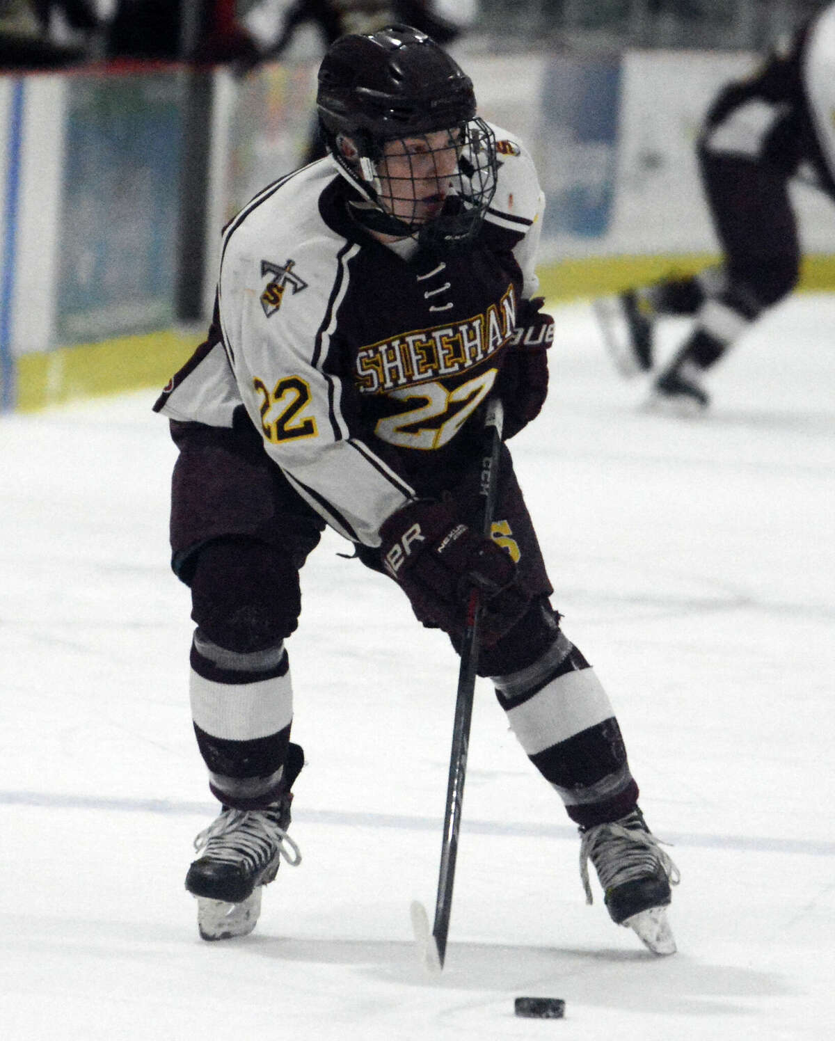 Sheehan defeats North Branford in CIAC high school boys hockey.