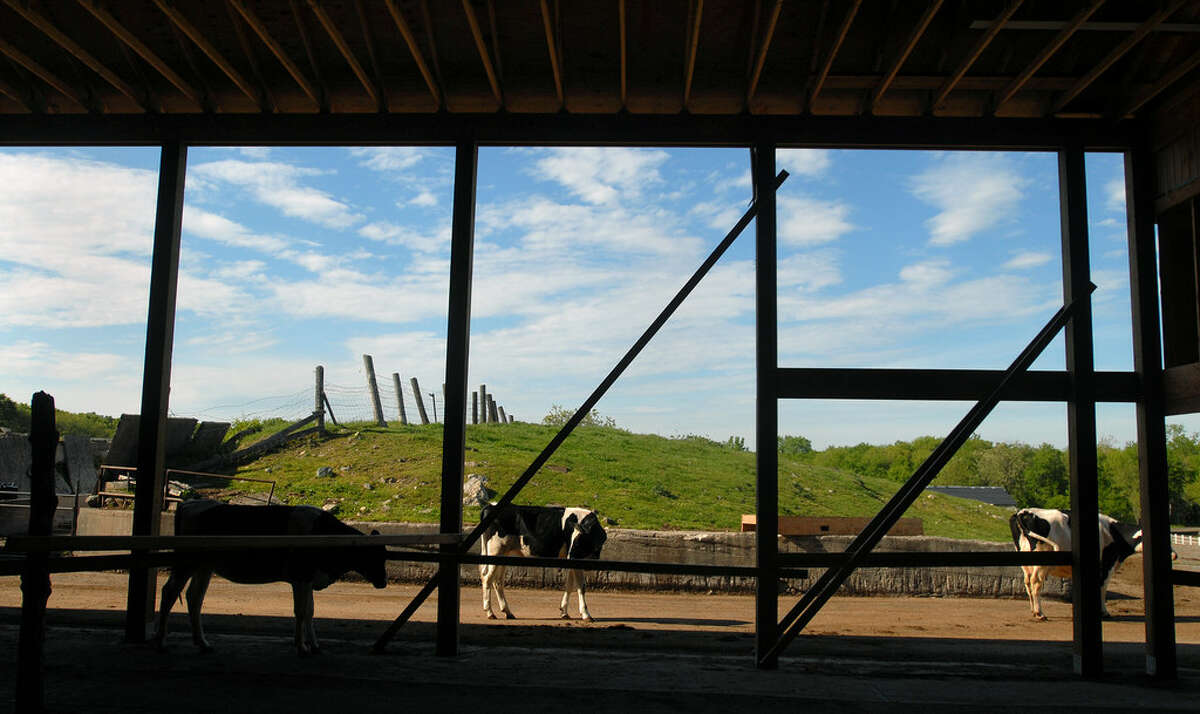 Debate over farmland use at Fred Wolfe Park in Orange takes turn