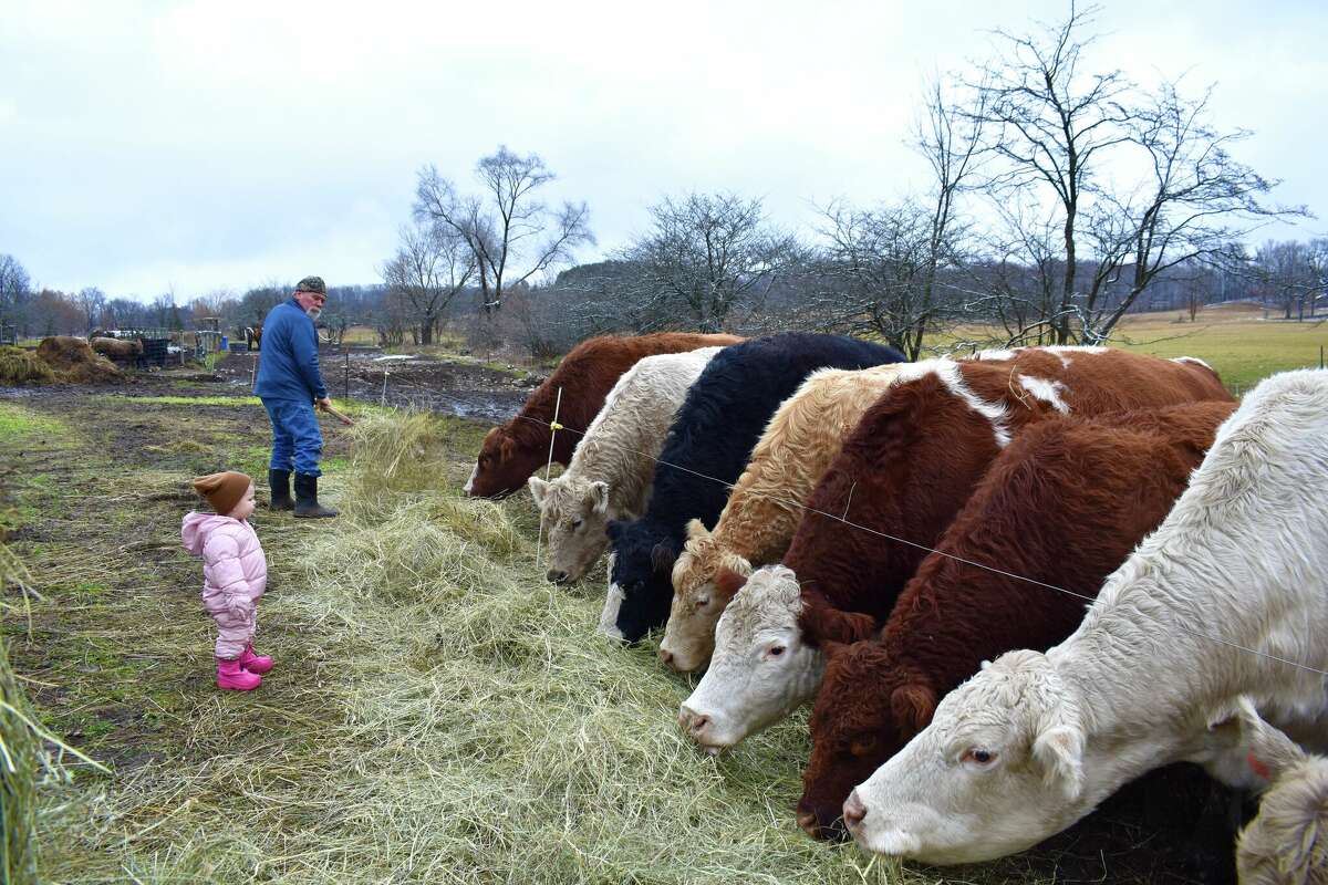 Multi-generational history growing on Grove Farms in Paris