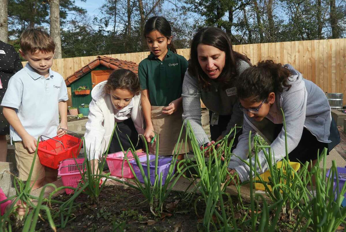 John Cooper lunch menu sees vegetables, herbs added from school garden