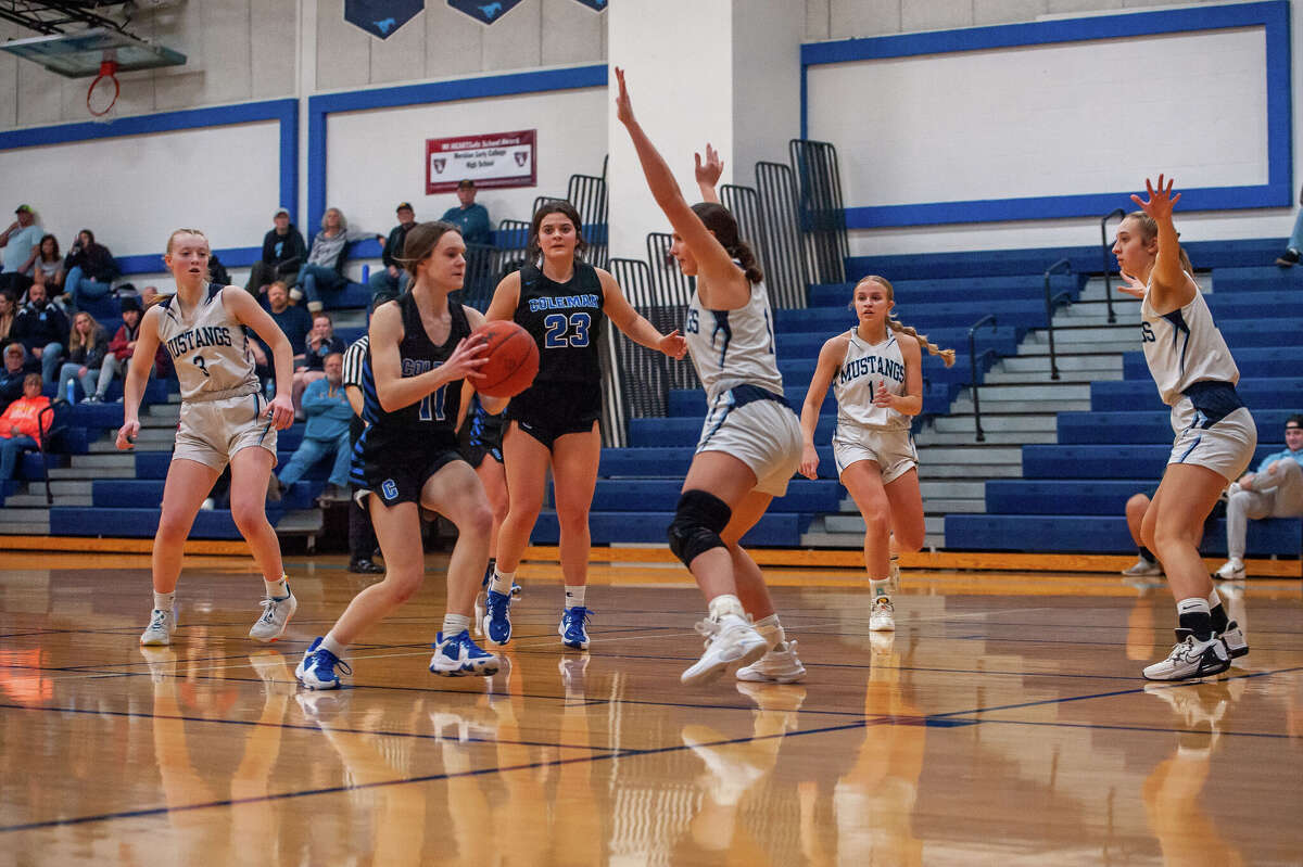 PHOTOS: Meridian High battles Coleman High in girls basketball