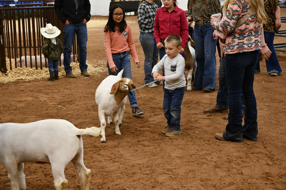 Midland Moments: 71st livestock show placings, sale, scholarships, Pee ...