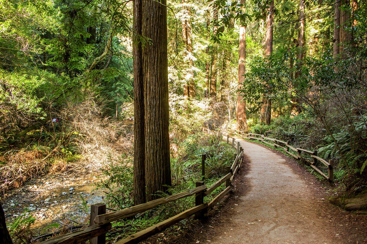 There’s never been a better time to visit Muir Woods