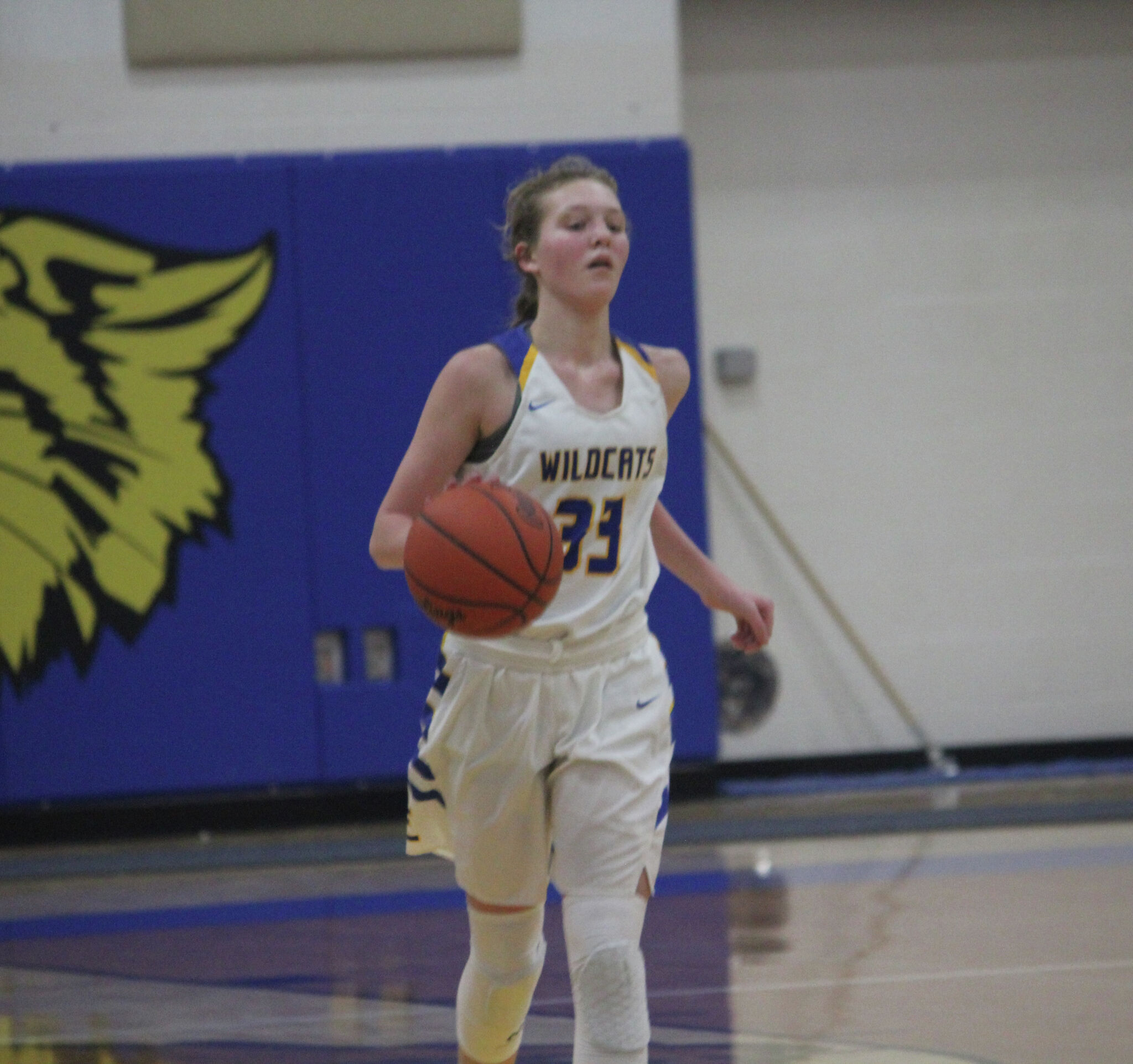 Senior Addy Gray had 27 points and her sister freshman Kyrah Gray ...