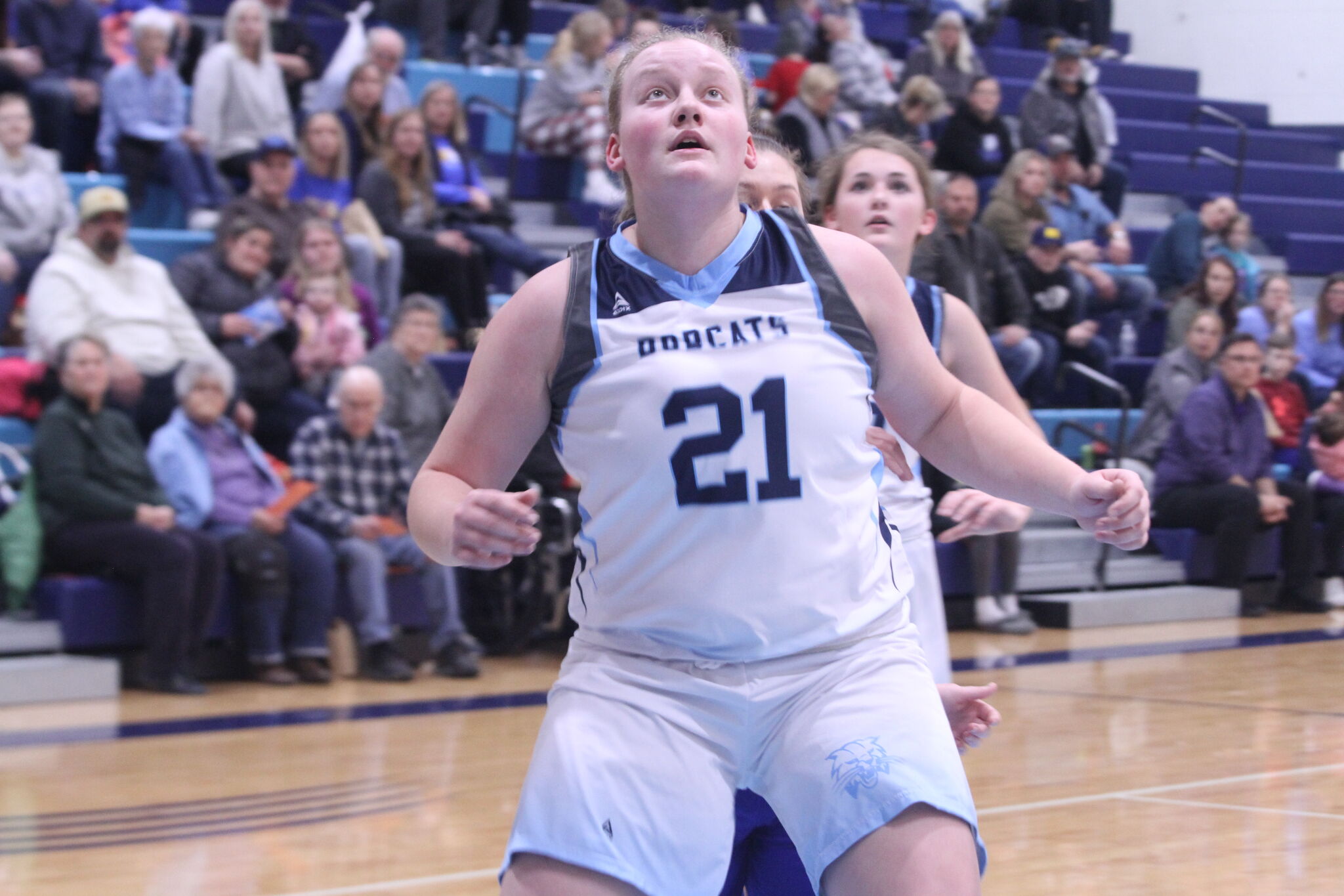 Brethren girls hoops defeats Onekama, improves to 12-0