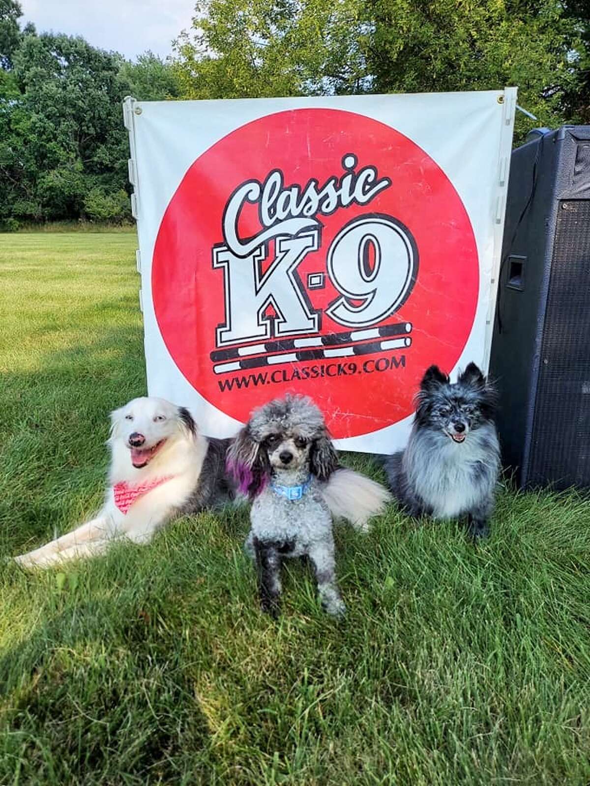 Michele’s Dog Training helps canines master basic training