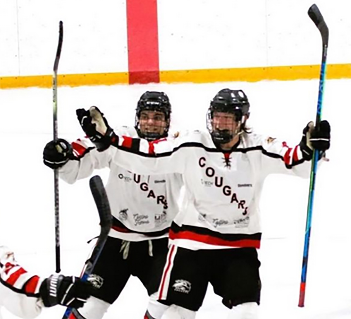 'Glow Night ' set for Friday's SIUE-Bradley hockey game at East Alton ...