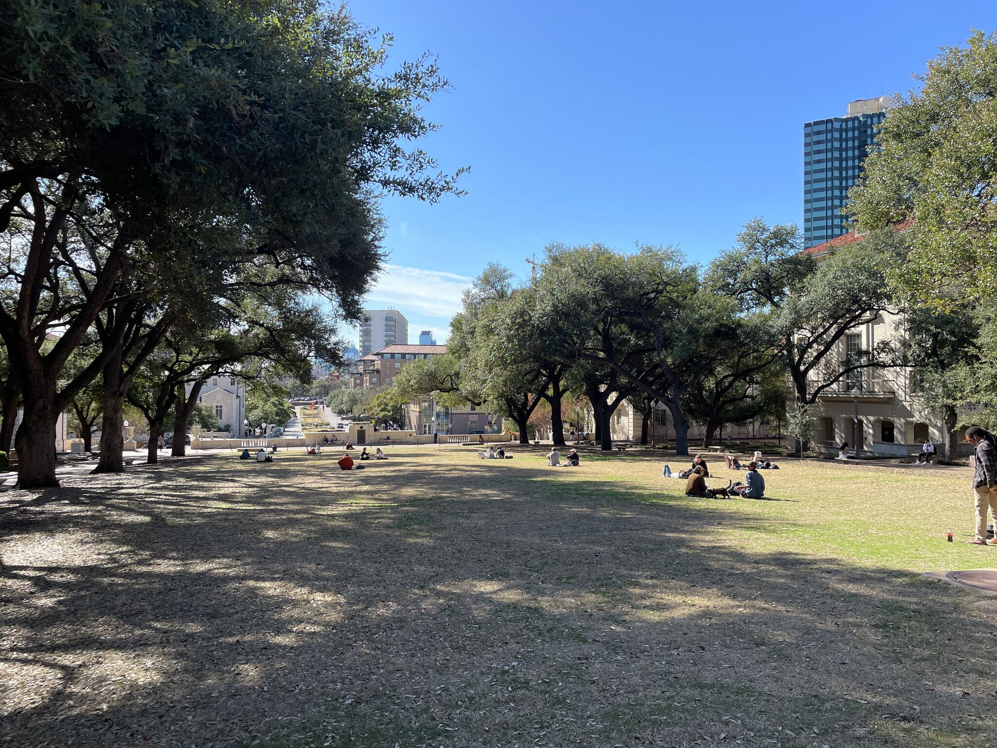 UT Austin stabbing sees 1 hospitalized near West Campus