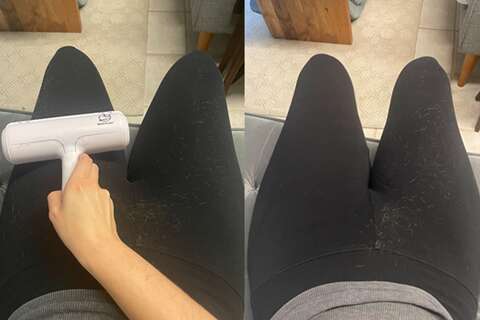 ChomChom Pet Hair Remover review: Is this $25 tool worth the TikTok hype?