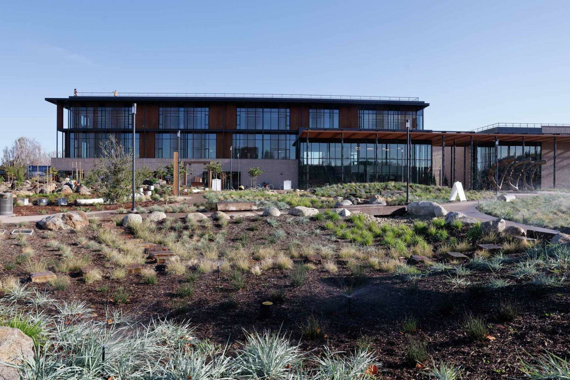 These Bay Area regions didn't flood in California's storms, here's why