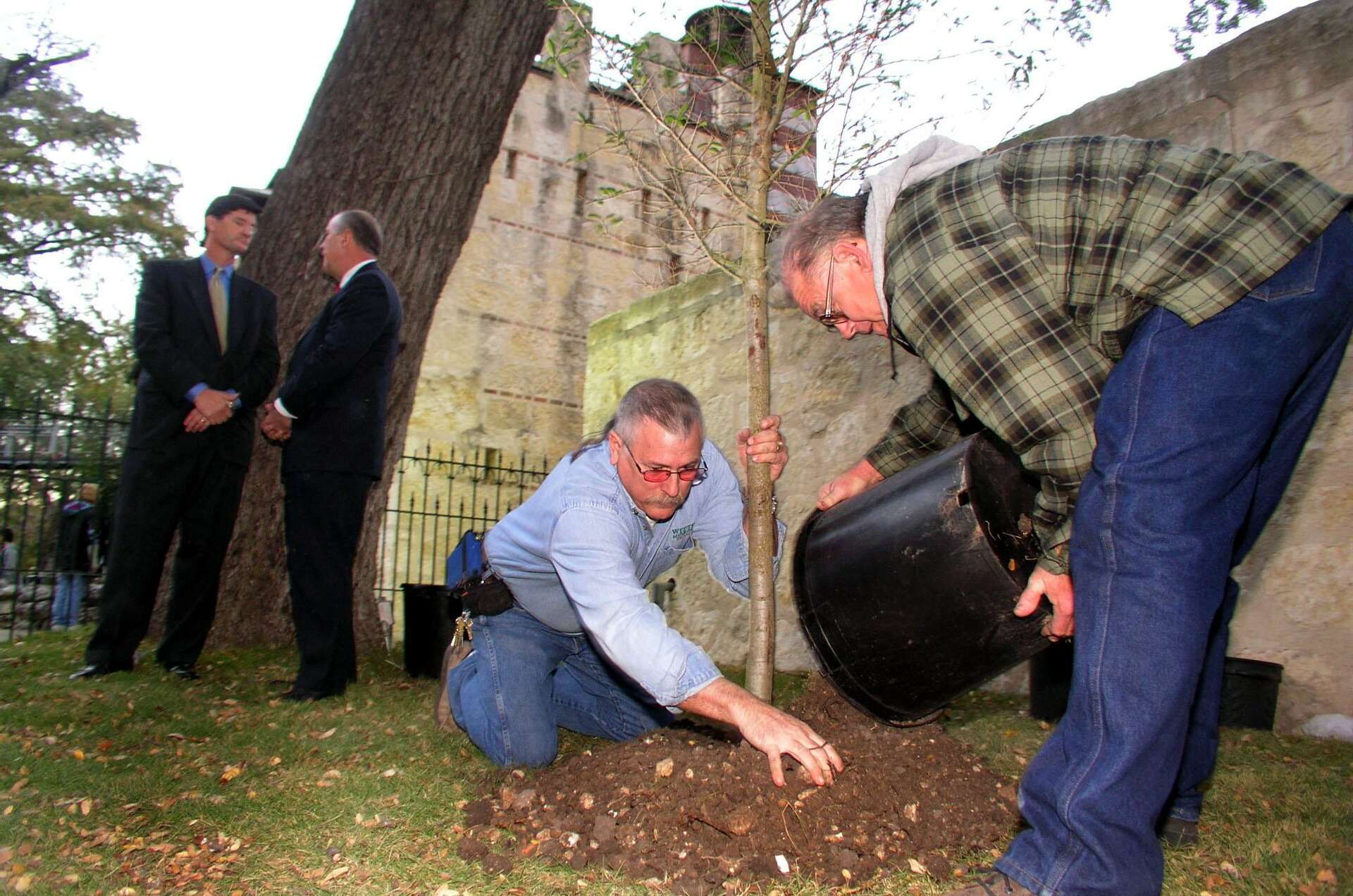 Mighty Treaty Oak survives poisoning attack by drifter