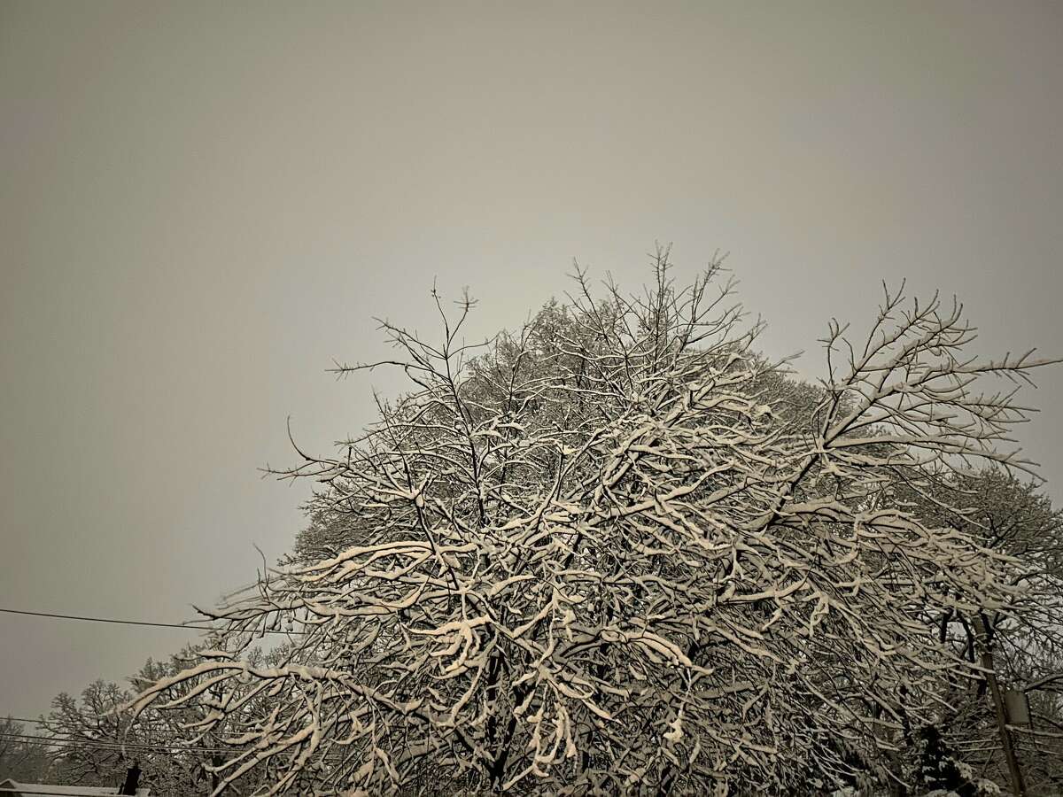 Heavy snow in Albany blamed for car crashes, power outages